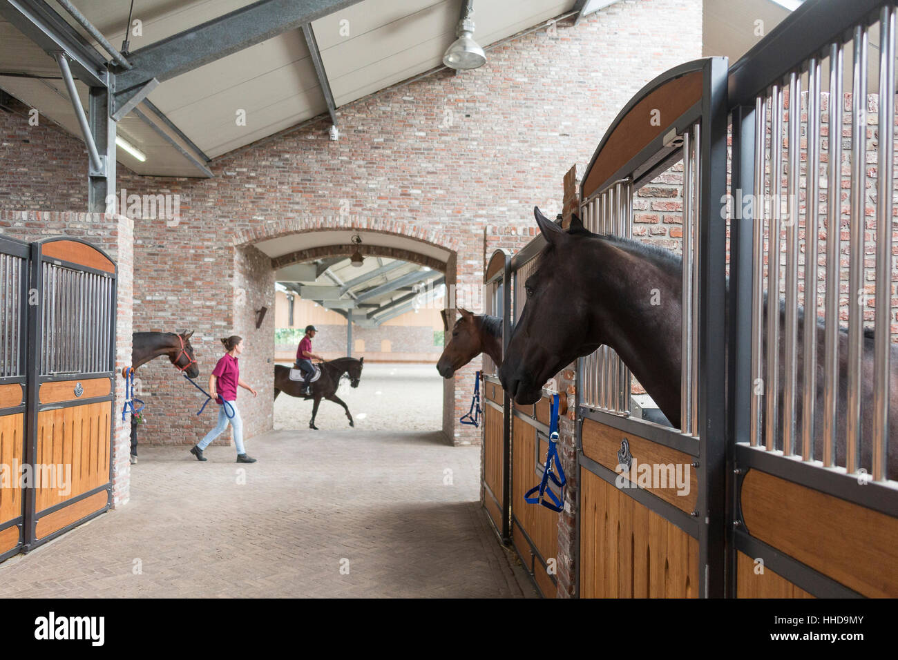 Stable lane. Netherlands Stock Photo - Alamy