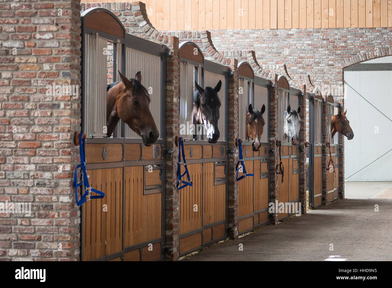 Stable lane hi-res stock photography and images - Alamy