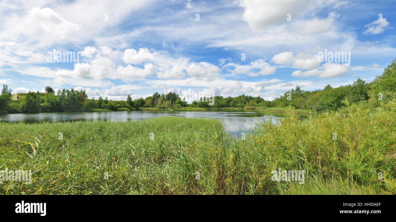 fresh water, pond, water, lakeside, reed, salt water, sea, ocean, water ...