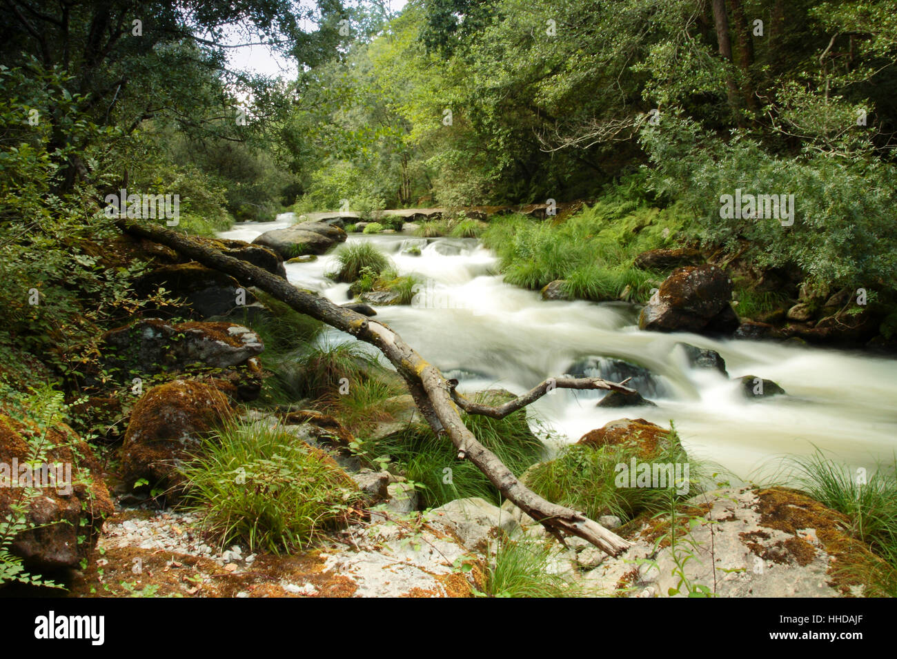 travel, spain, hiking, galicia, landscape, scenery, countryside, nature ...