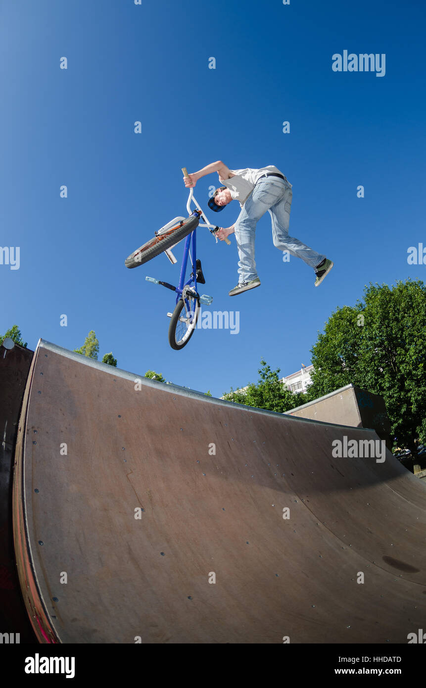 sport, sports, tree, trees, green, wood, male, masculine, summer ...