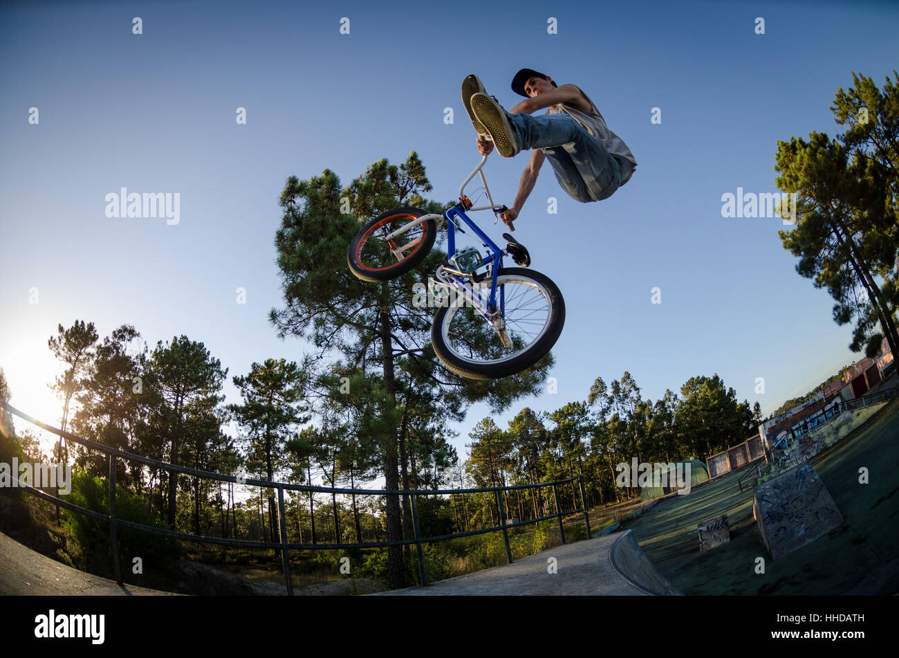 sport, sports, tree, trees, green, wood, male, masculine, summer ...