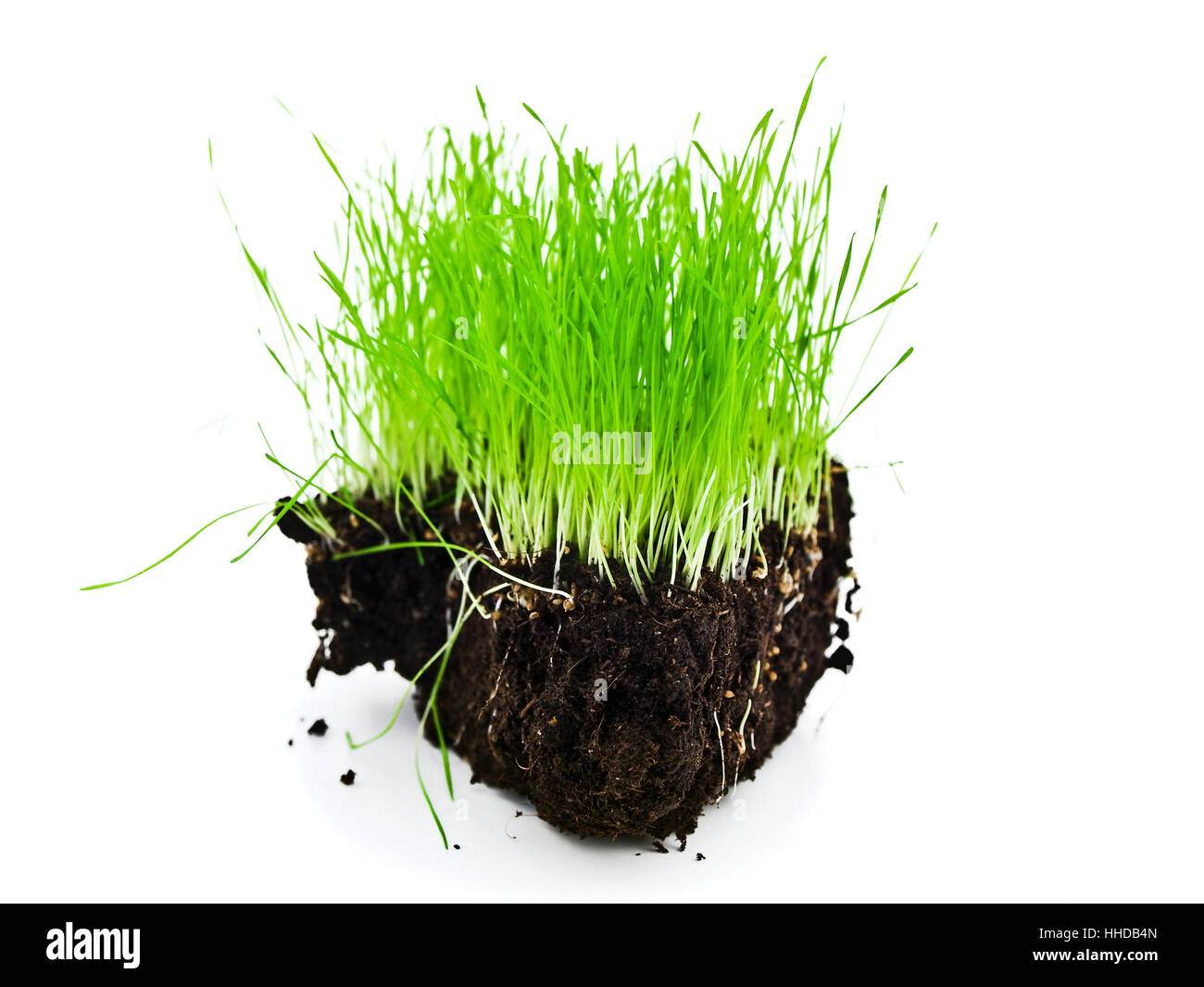 environment, enviroment, garden, ground, soil, earth, humus, field ...