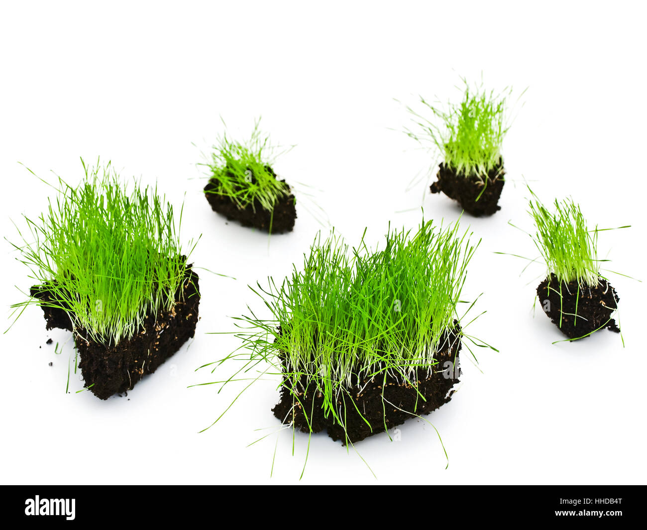 environment, enviroment, garden, ground, soil, earth, humus, field ...