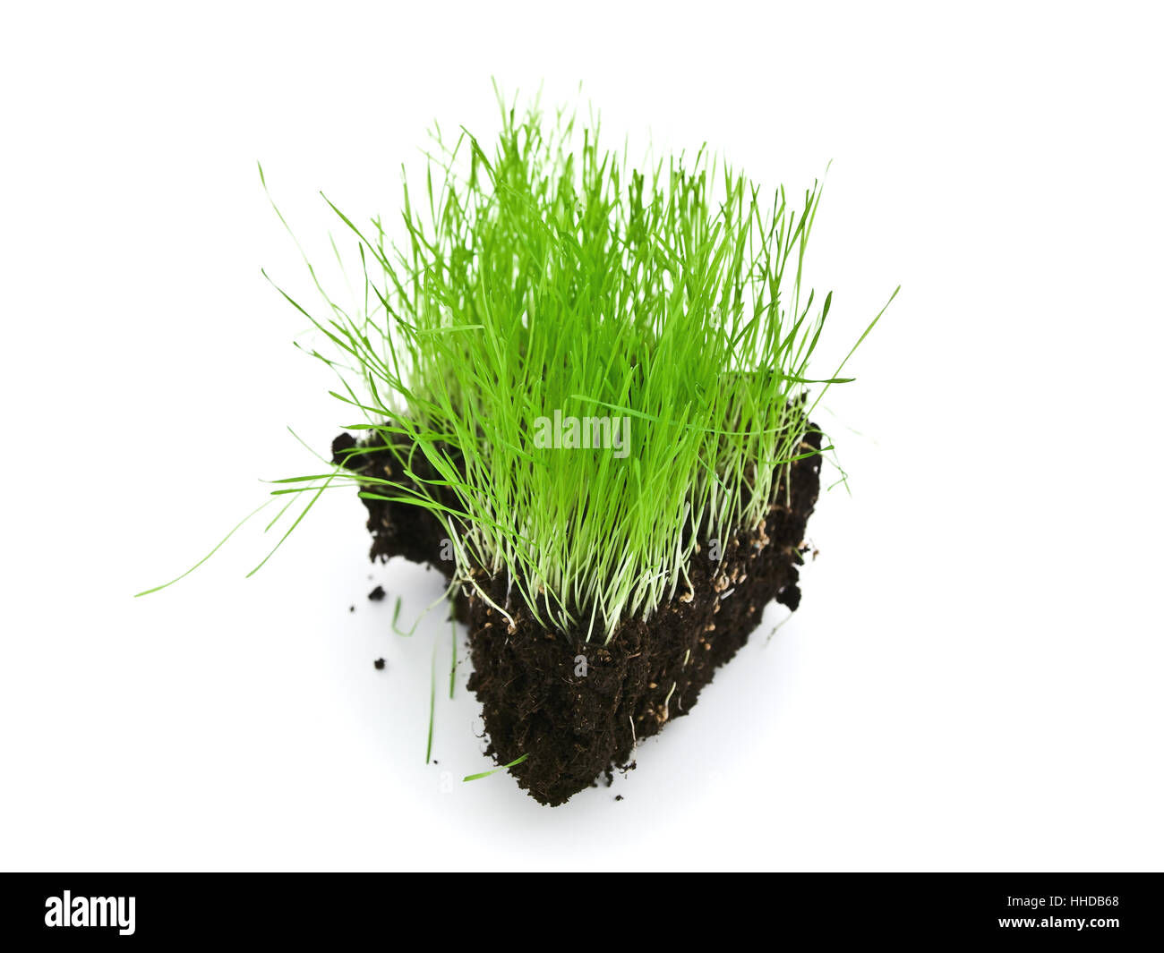 environment, enviroment, garden, ground, soil, earth, humus, field ...