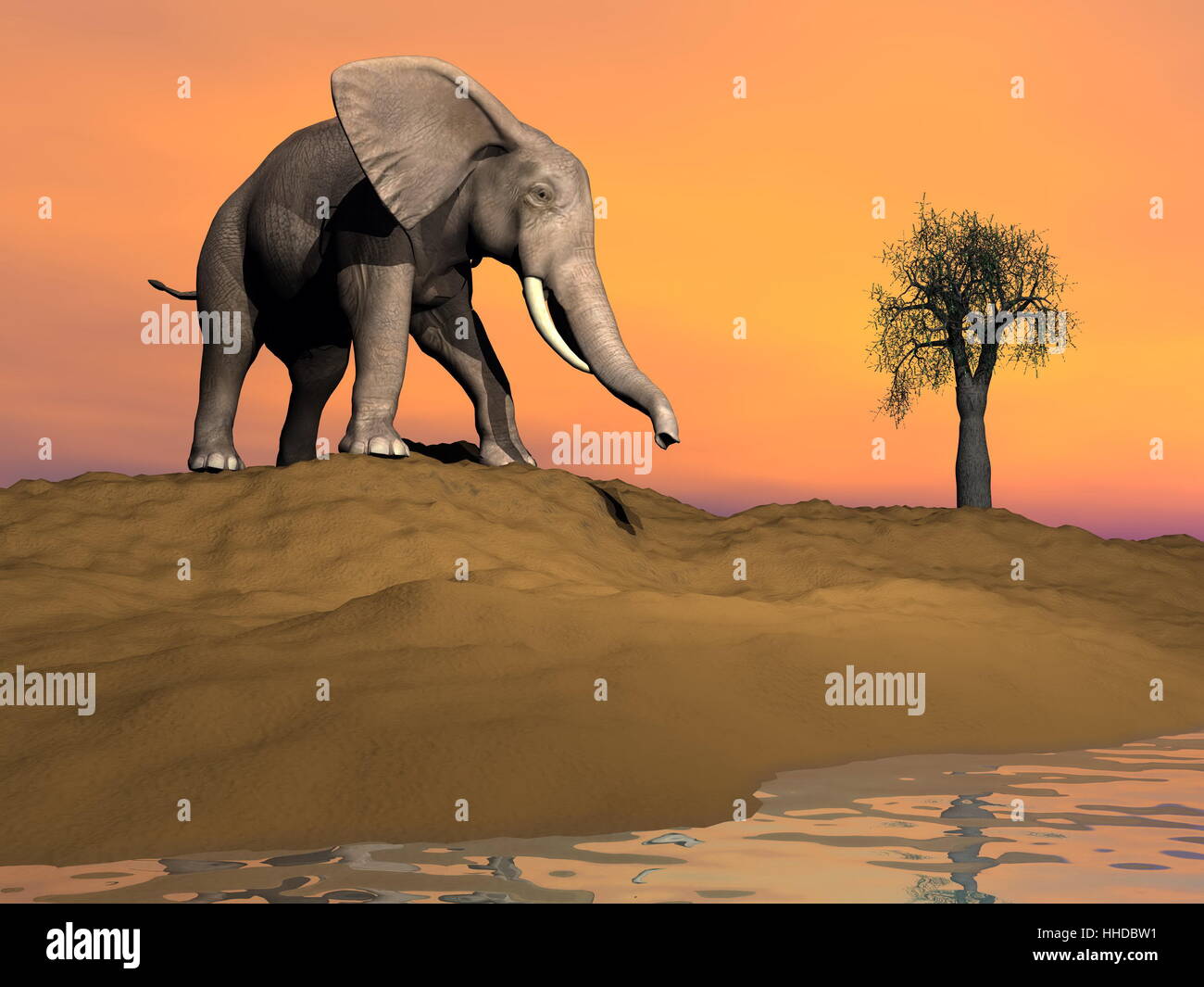 mammal, elephant, savannah, illustration, wildlife, water, shine ...