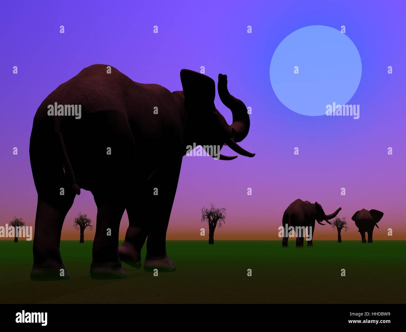 Shadows of three elephants standing between baobabs in the savannah by ...
