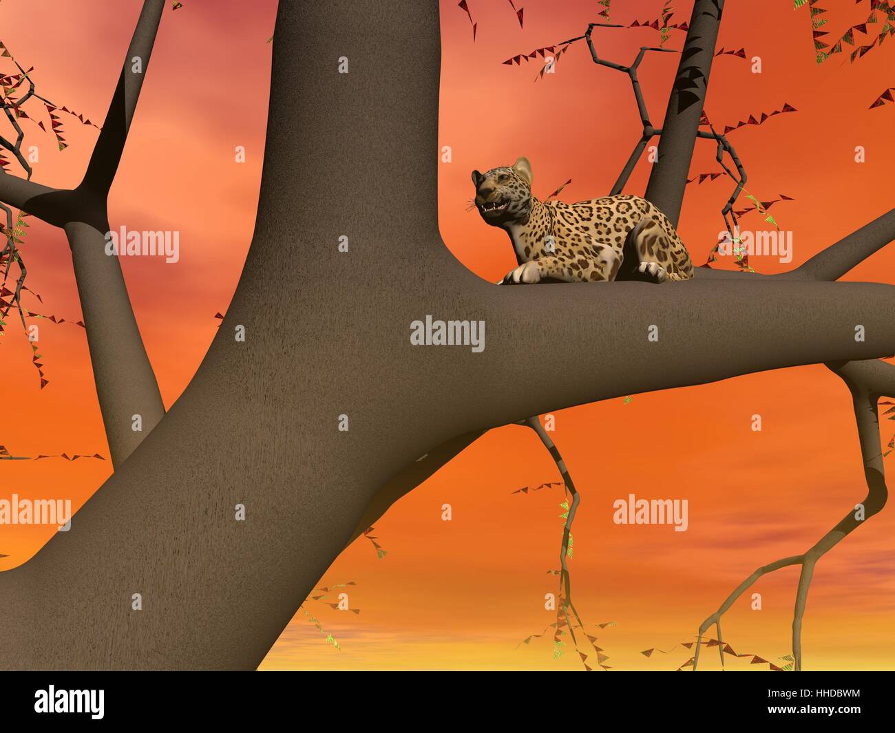 Panther sitting on the branch of a tree by sunsetorange light Stock ...