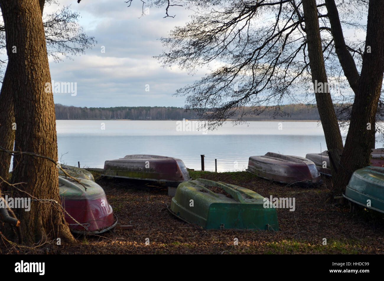 tree, leaves, rowing boat, salt water, sea, ocean, water, bank, sailing ...