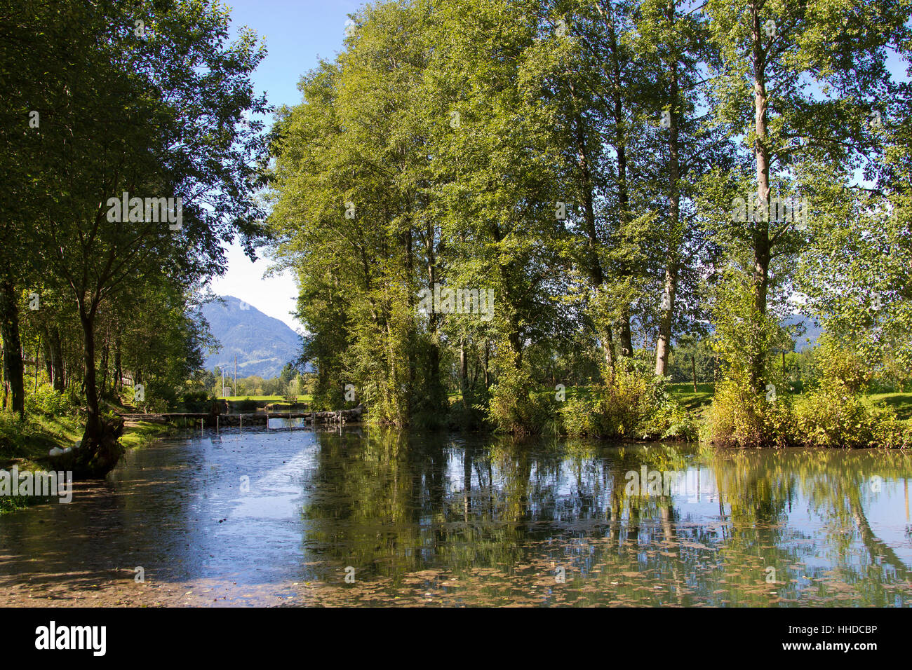 at the pond Stock Photo - Alamy