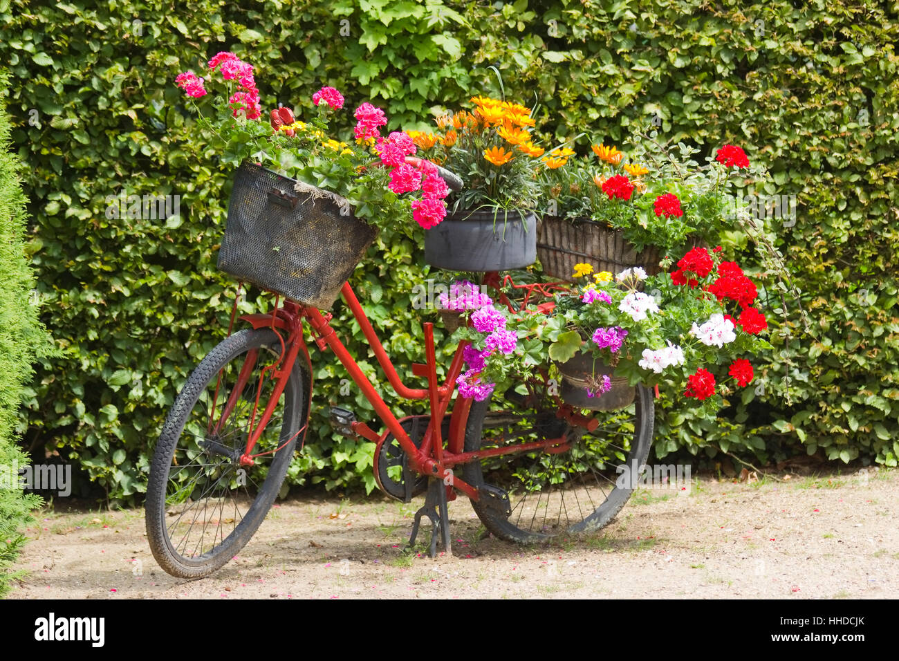 Garden flower arrangement hi-res stock photography and images - Alamy