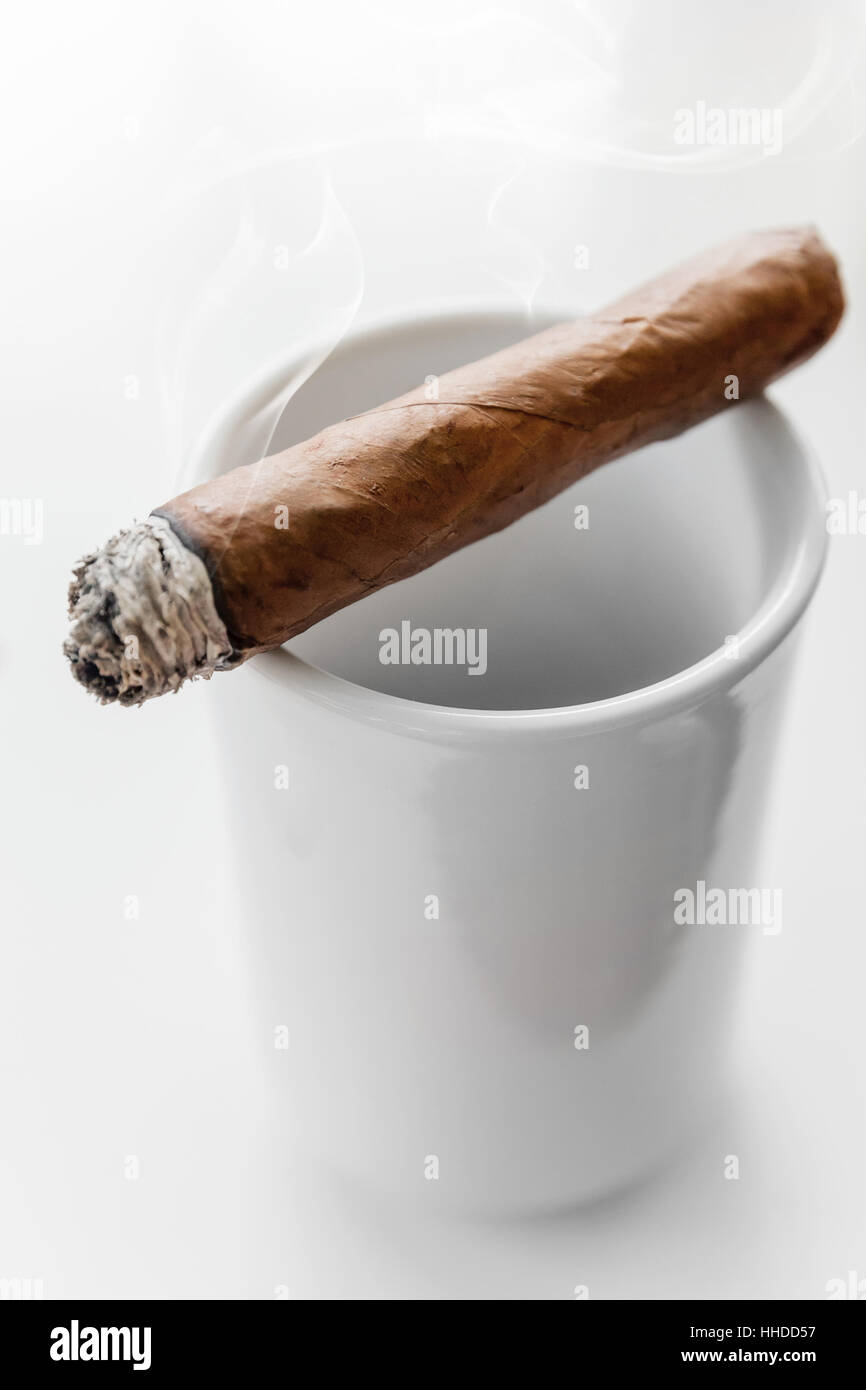 Handmade cigar lays on white coffee cup, close up photo with selective ...