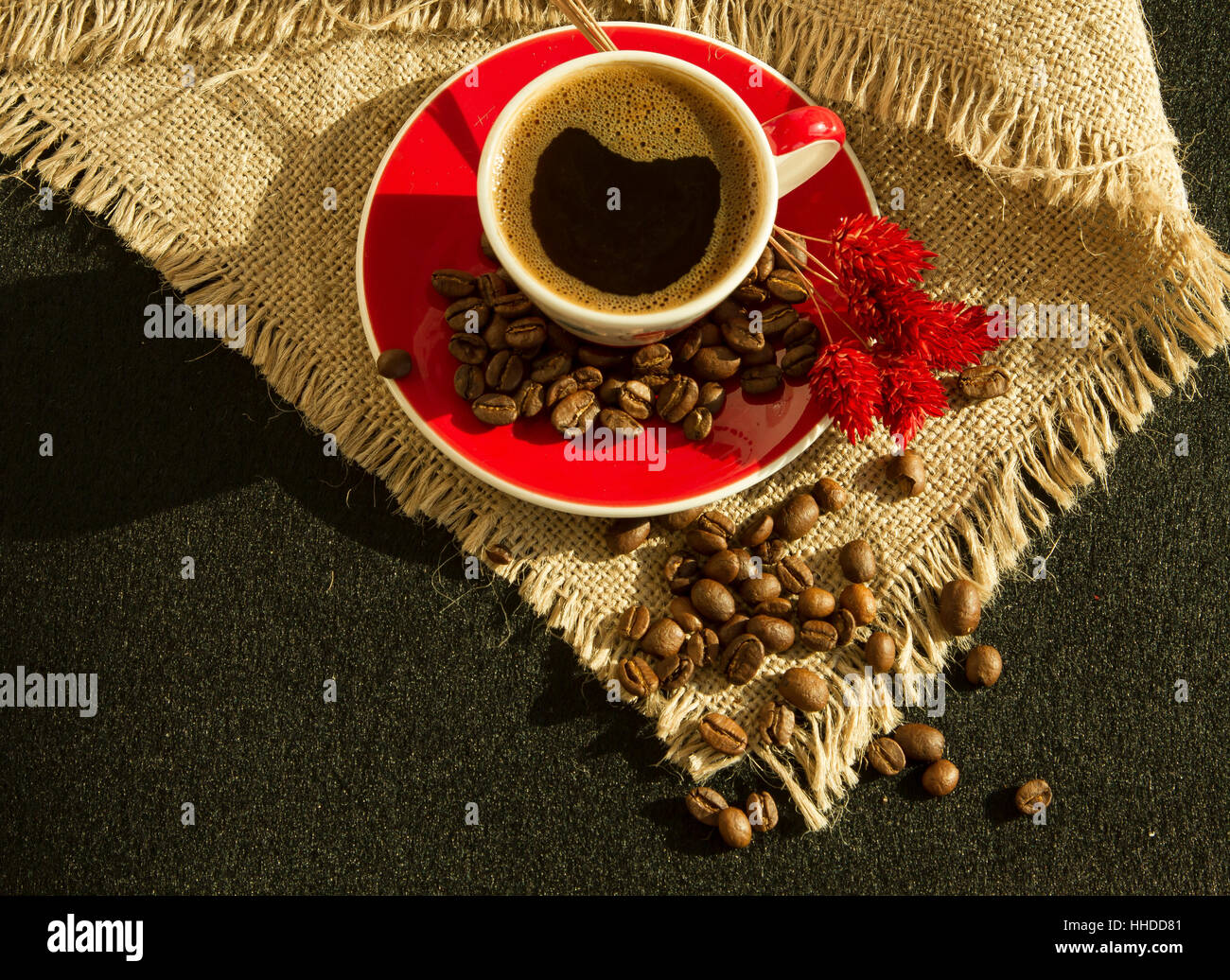 Coffee Bean Flower Stock Photos & Coffee Bean Flower Stock Images - Alamy
