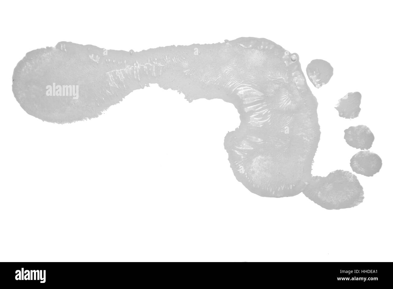 One horizontal grey footprint against a white background Stock Photo ...