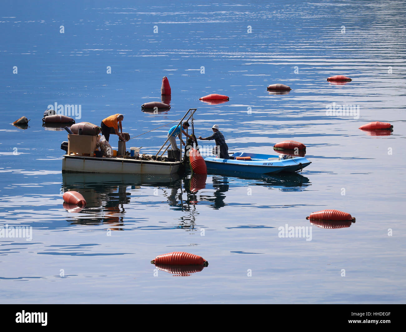 Shell fisherman hi-res stock photography and images - Alamy