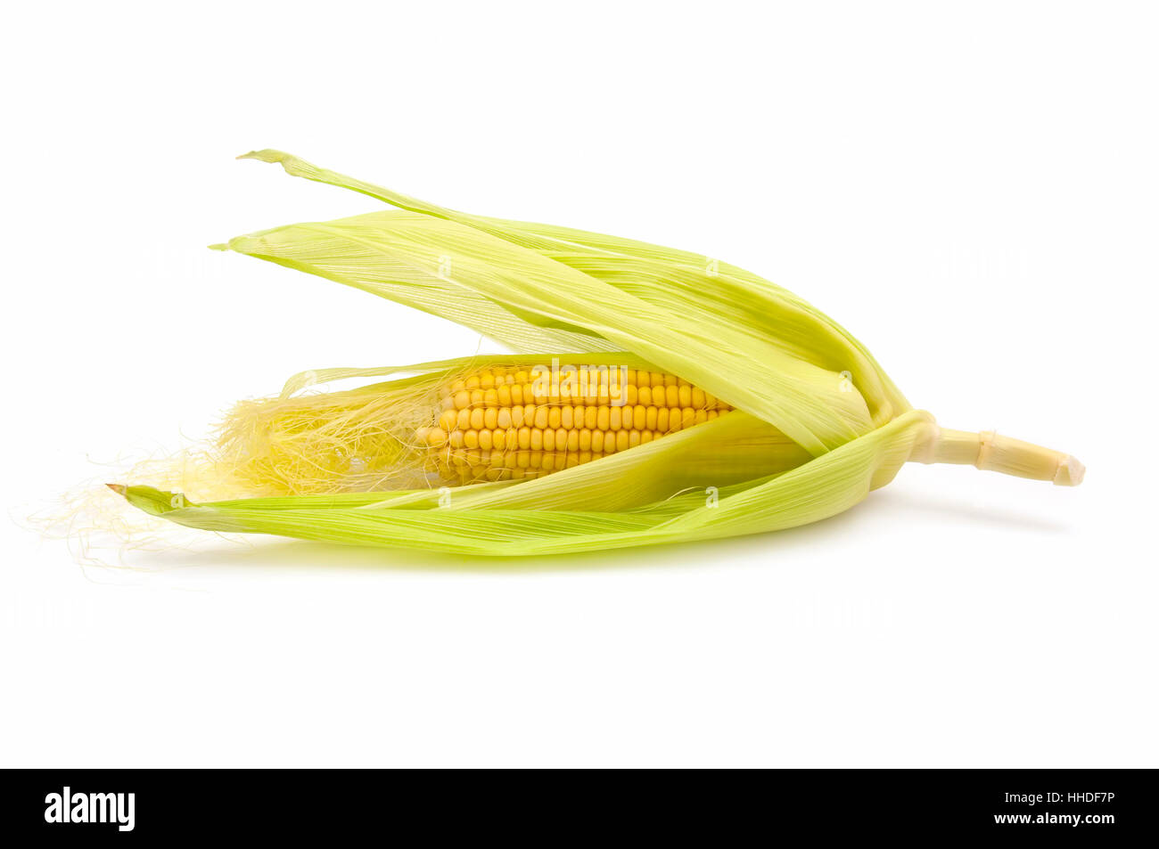 food, aliment, agriculture, farming, vegetable, corn, spikes, cereal ...
