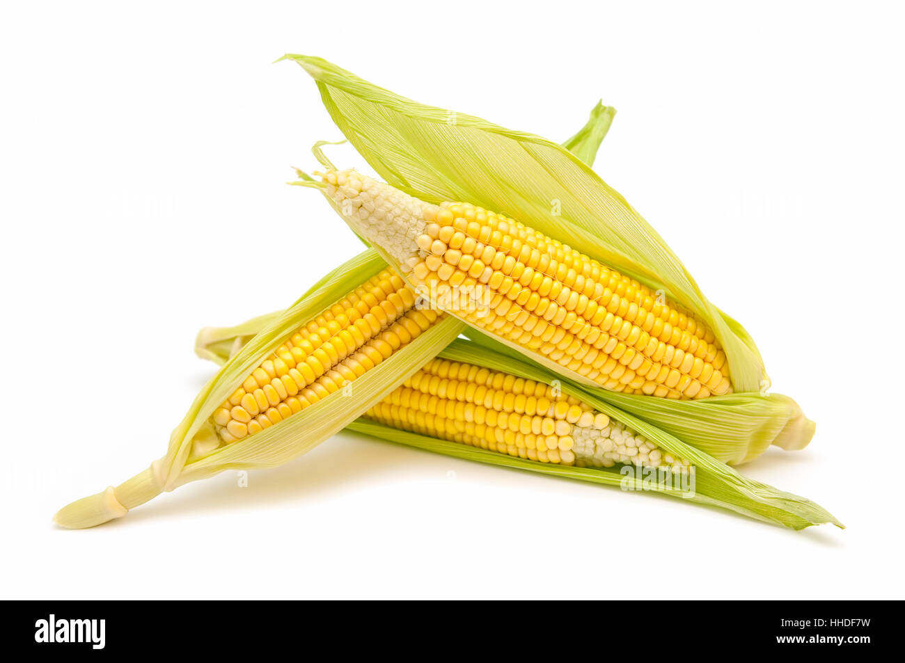 food, aliment, agriculture, farming, vegetable, corn, spikes, cereal ...