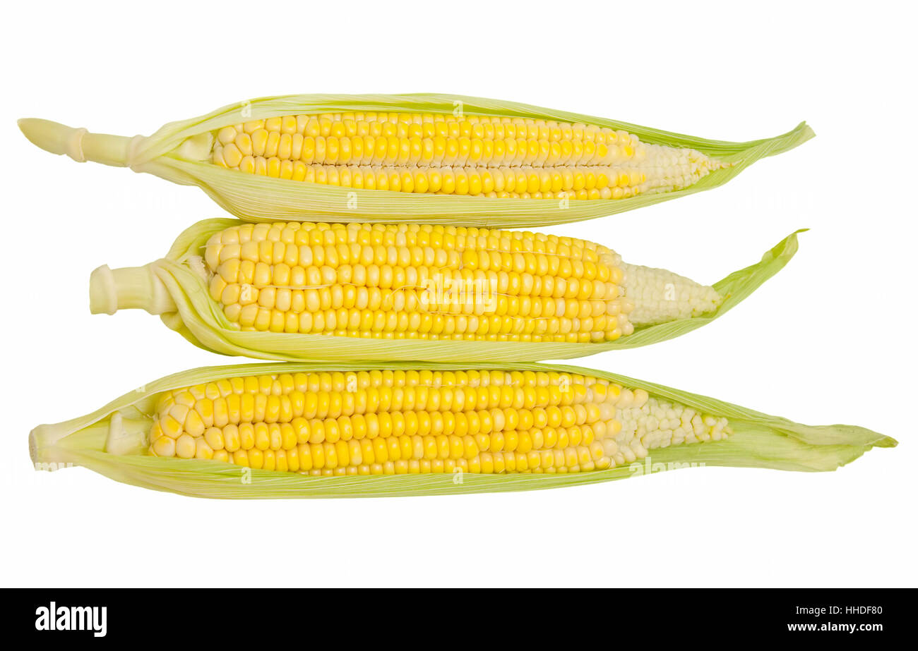 food, aliment, agriculture, farming, vegetable, corn, spikes, cereal ...