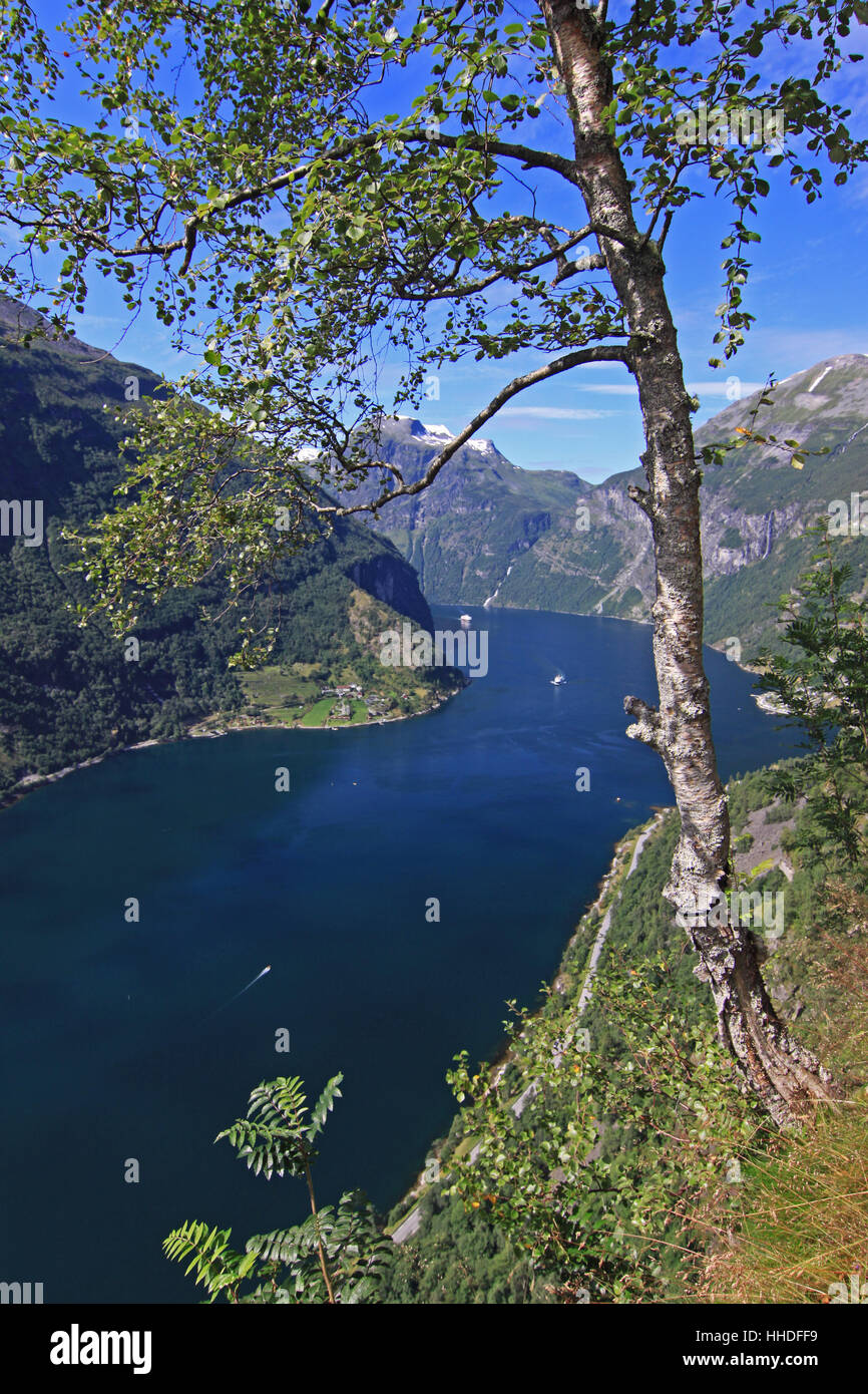 water, north sea, salt water, sea, ocean, norway, fjord, cruise ...