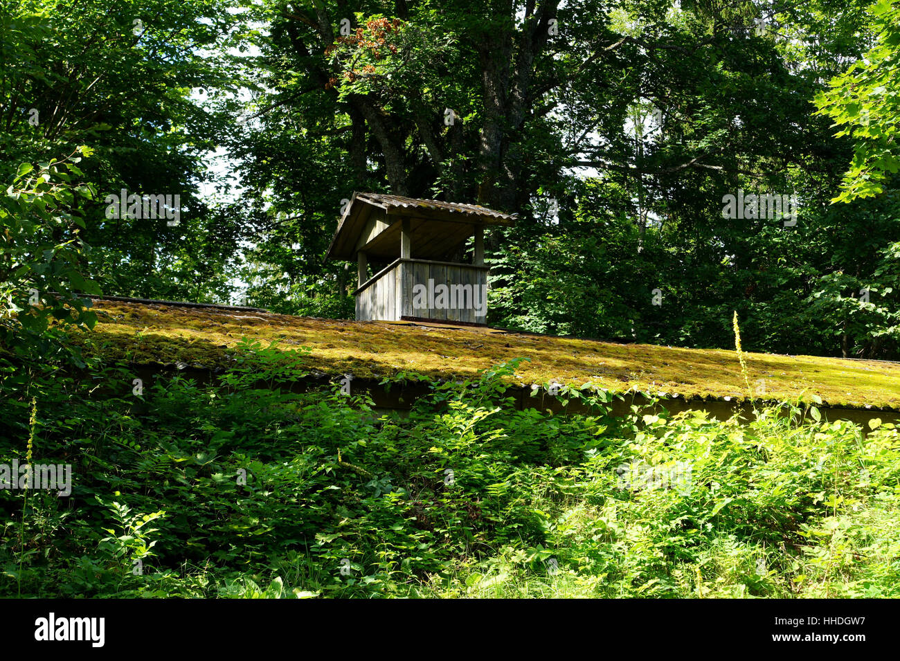 build, tree, flora, moss, tube, ventilation, ventilate, pipe, meadow ...