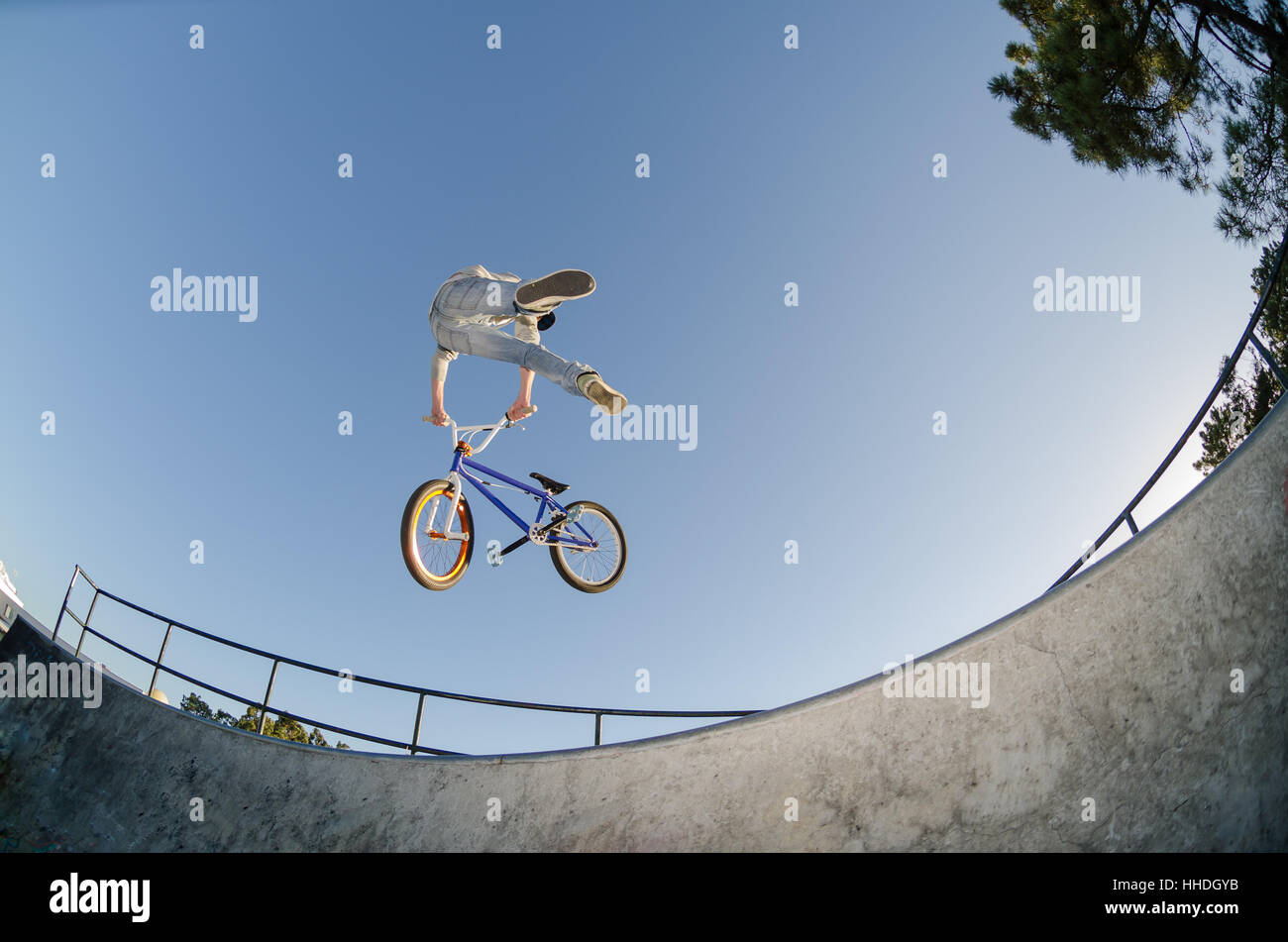 sport, sports, tree, trees, green, wood, male, masculine, summer ...
