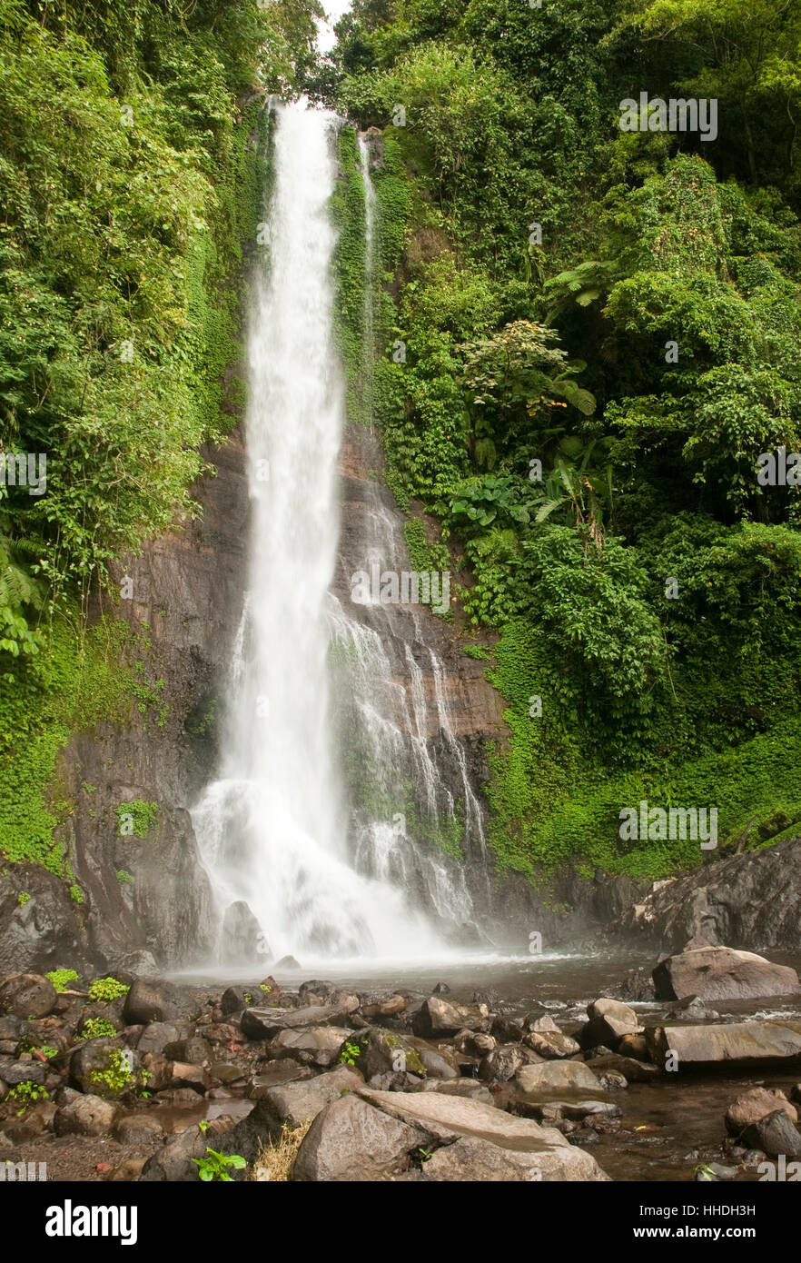 bali, indonesia, waterfall, scenery, countryside, nature, water, plant ...