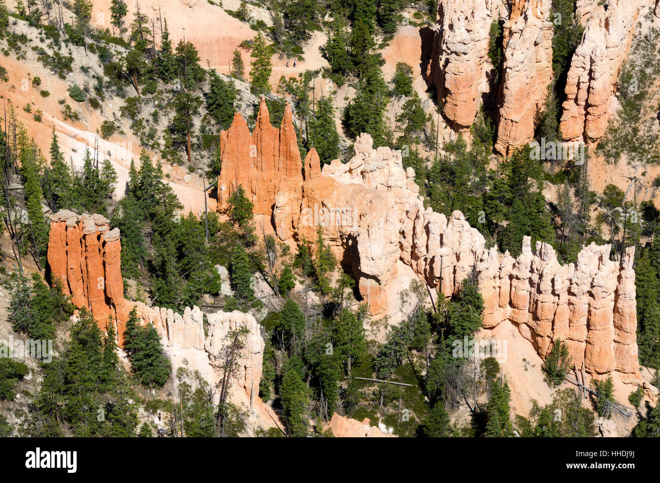 environment, enviroment, sunrise, america, highland, environment ...