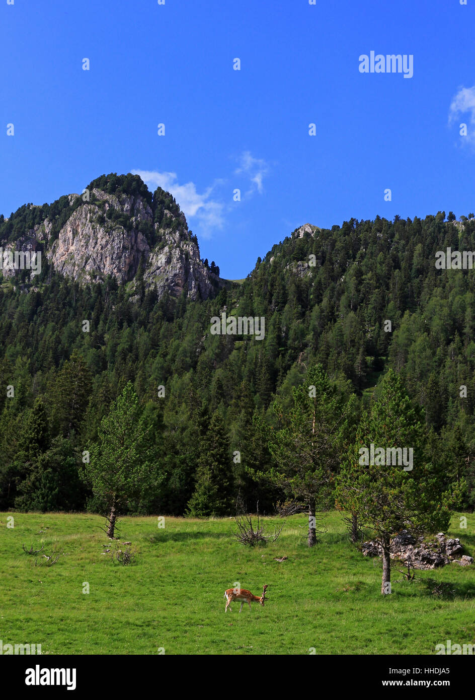 Gebirgesen hi-res stock photography and images - Alamy