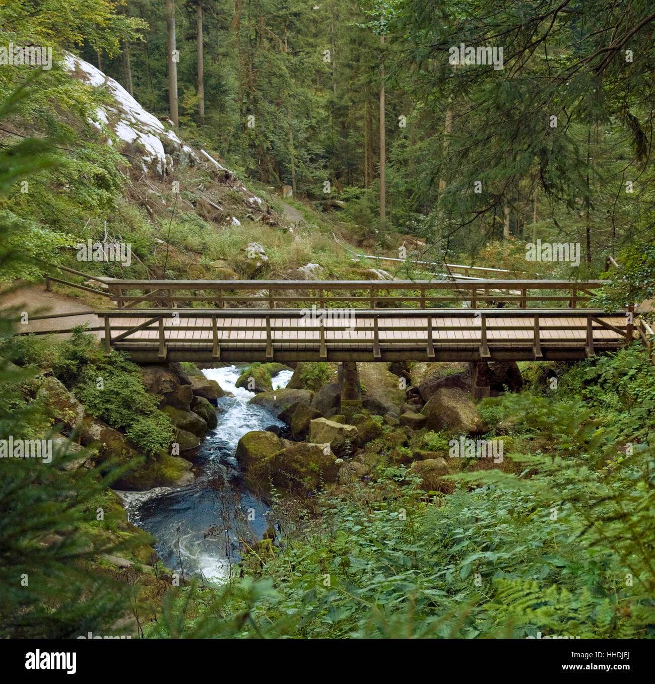 leaf, tree, flow, fluent, stone, wood, bridge, freshness, sightseeing ...