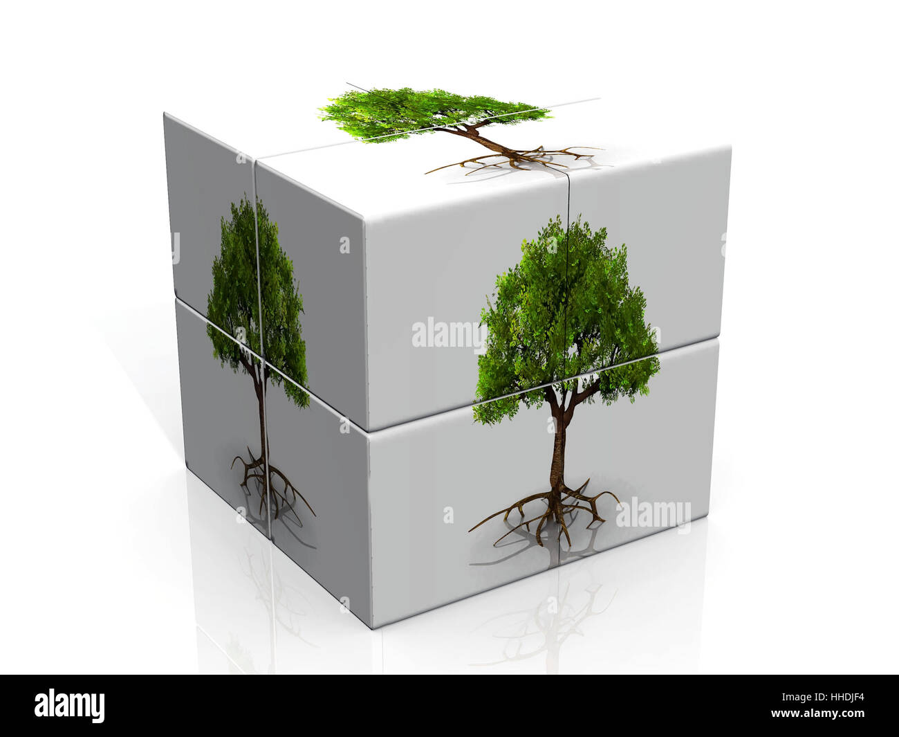 box and trees Stock Photo - Alamy