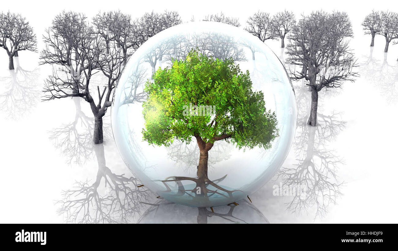 green tree in a transparent bubble Stock Photo - Alamy