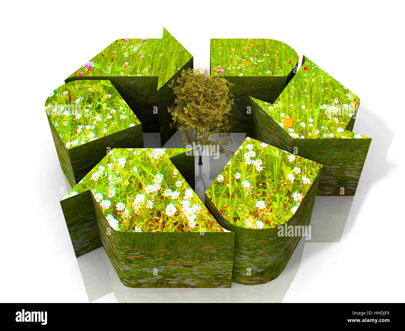 leaf, environment, enviroment, tree, flower, flowers, plant, spring ...