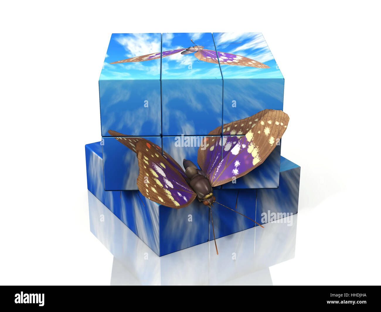 the beautiful butterfly with wings Stock Photo - Alamy