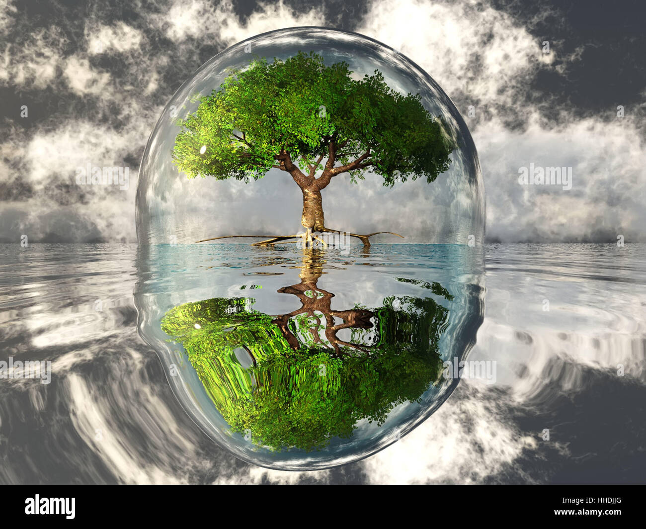 green tree in a transparent bubble Stock Photo - Alamy