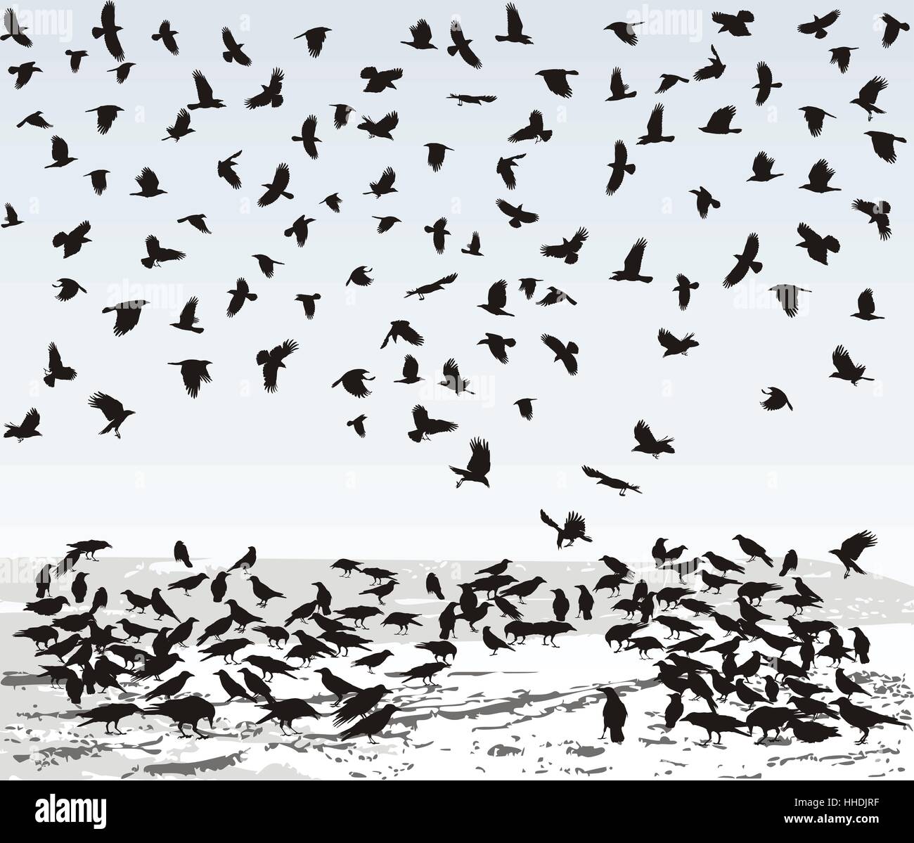 bird, illustration, wildlife, crow, claw, carrion, pictogram, symbol ...