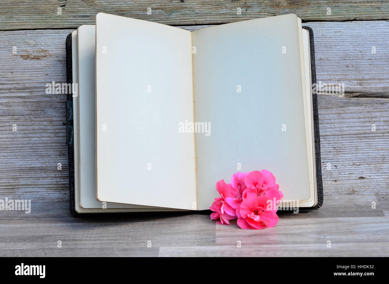 write, wrote, writing, writes, flower, rose, plant, wood, antique ...