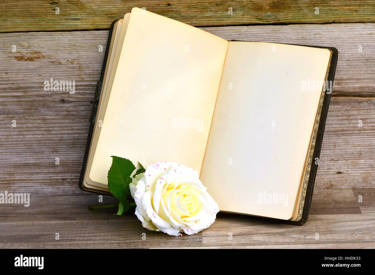 write, wrote, writing, writes, flower, rose, plant, wood, antique ...