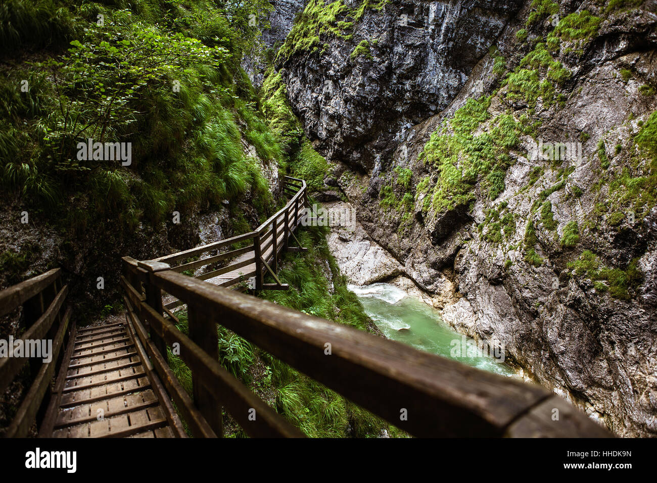 ravine, railing, lambs, path, way, mountains, wild, alps, ravine, sight ...