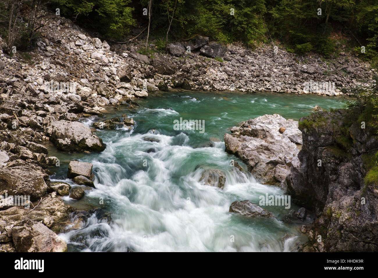 ravine, lambs, river, water, mountains, wild, alps, ravine, sight, view ...