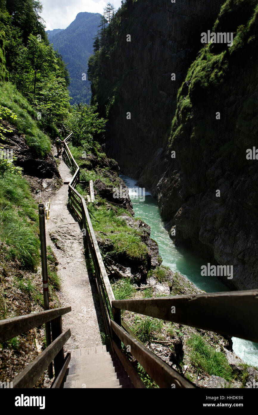 ravine, railing, lambs, path, way, mountains, wild, alps, ravine, sight ...