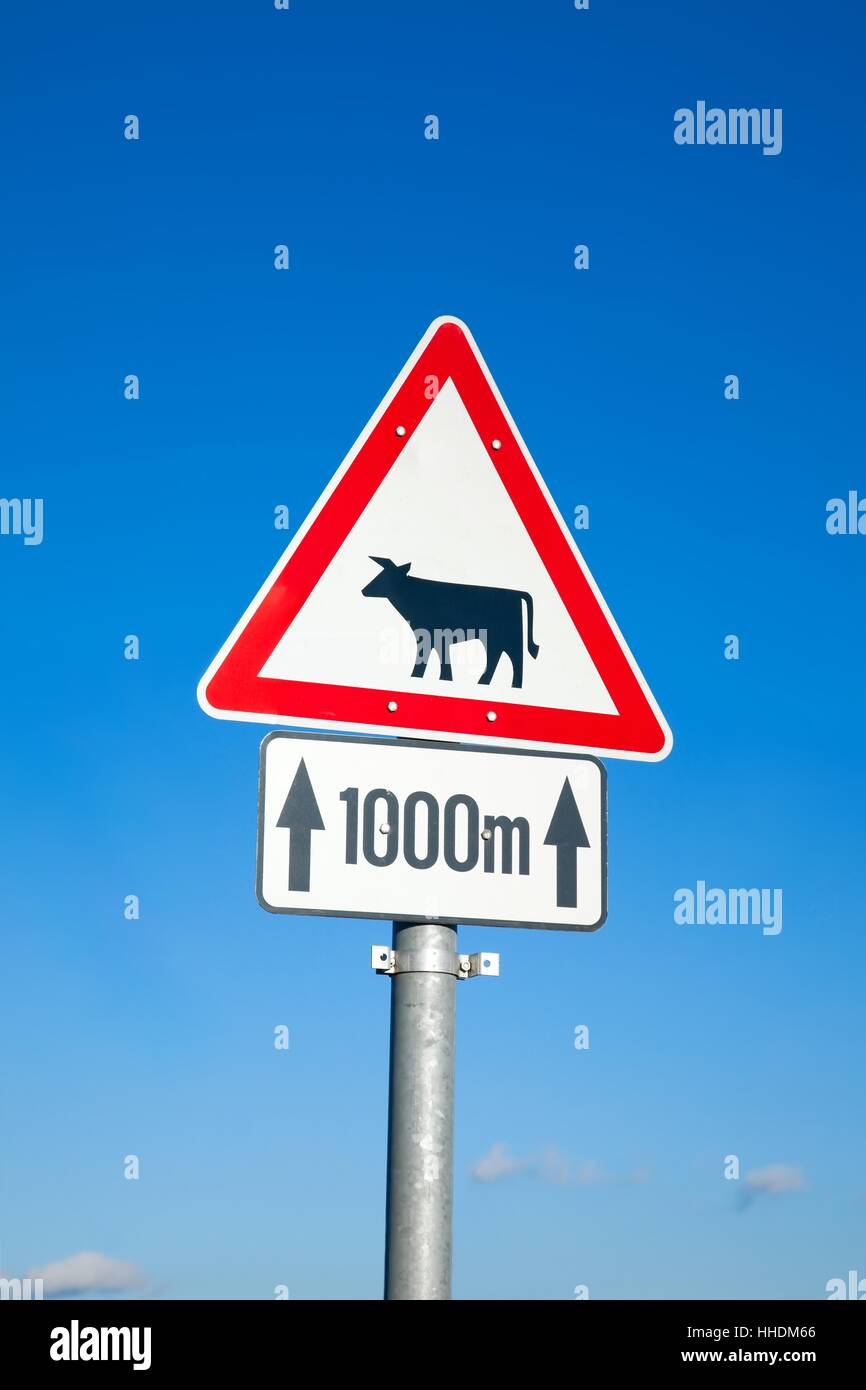 sign, signal, traffic, transportation, cow, warning, road, street, sign ...