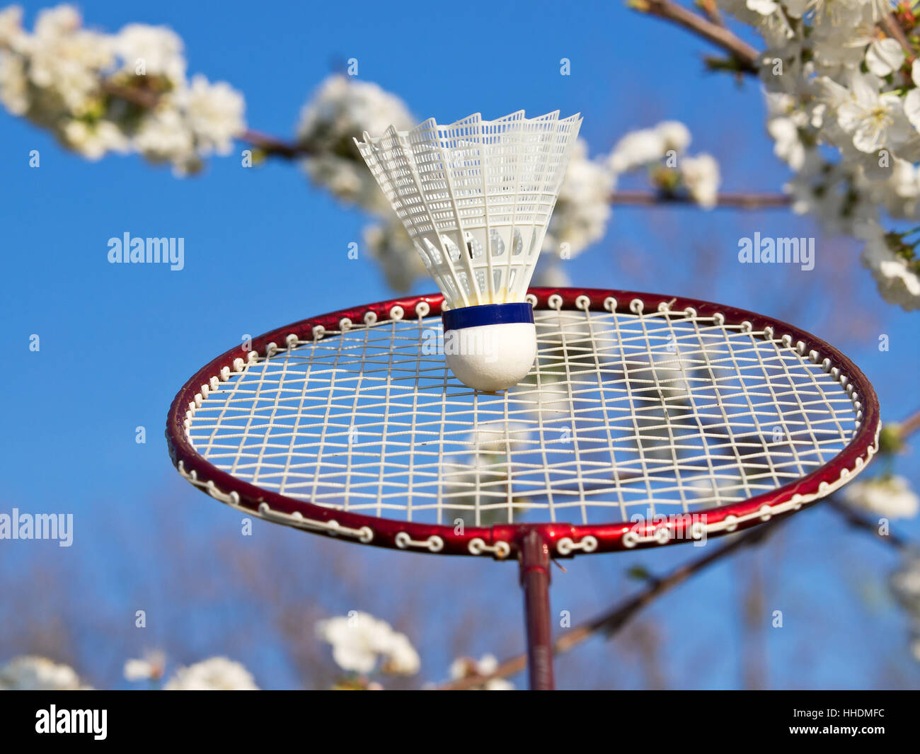 game, tournament, play, playing, plays, played, net, equipment, double ...