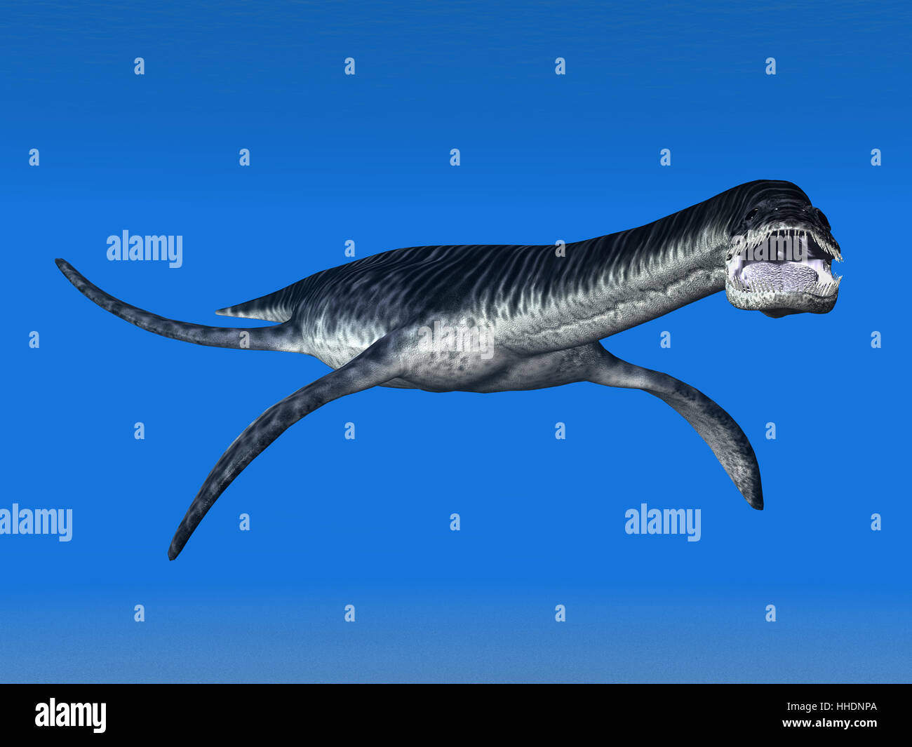 Plesiosaurus hi-res stock photography and images - Alamy
