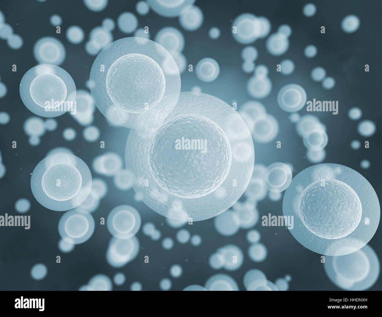 medicinally, medical, science, research, cells, micro, close, blue ...