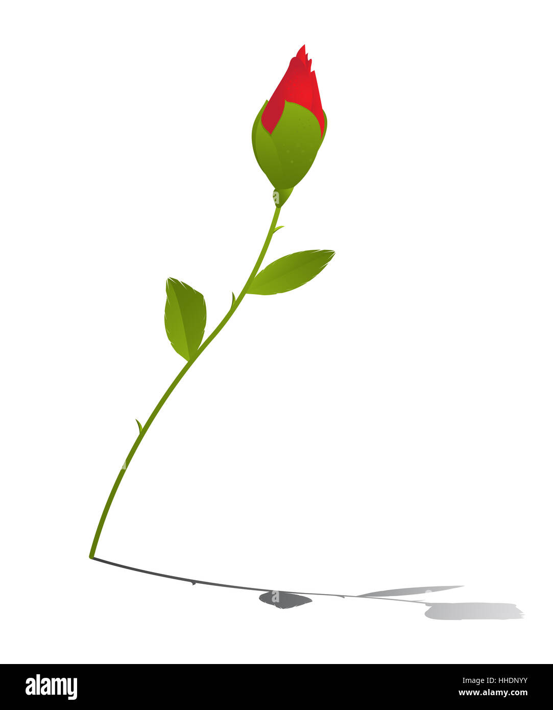 leaf, spring, illustration, valentines day, pictogram, symbol ...