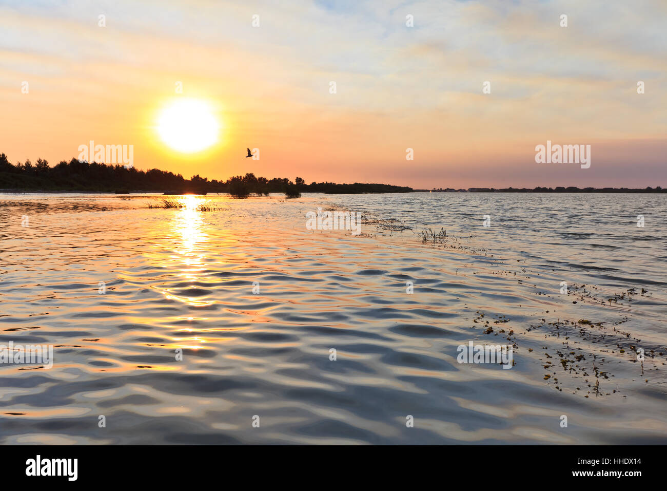 beautiful, beauteously, nice, horizon, sunset, summer, summerly ...
