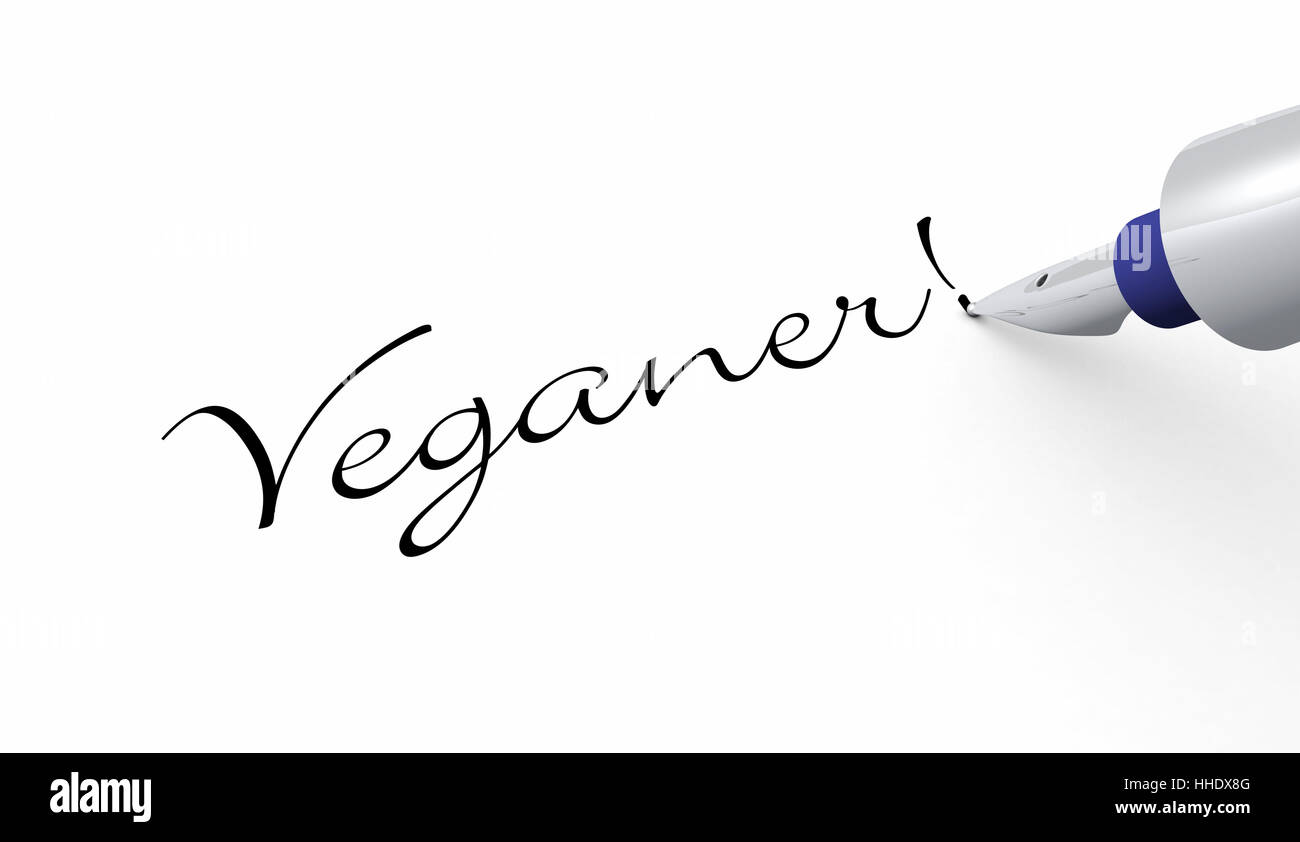 model, design, project, concept, plan, draft, writing, font, typography ...