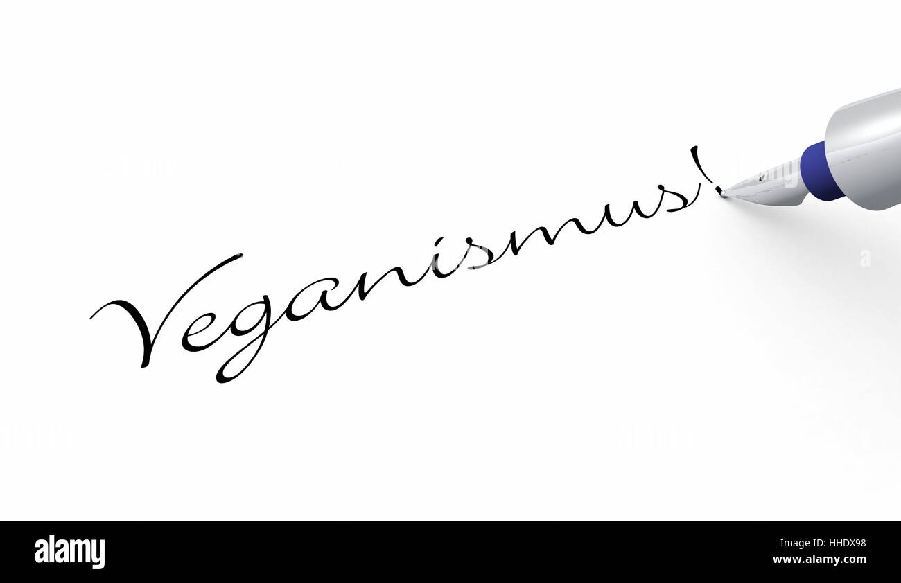 model, design, project, concept, plan, draft, writing, font, typography ...