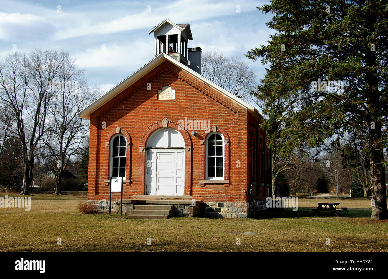 Tree study tree study hi-res stock photography and images - Alamy
