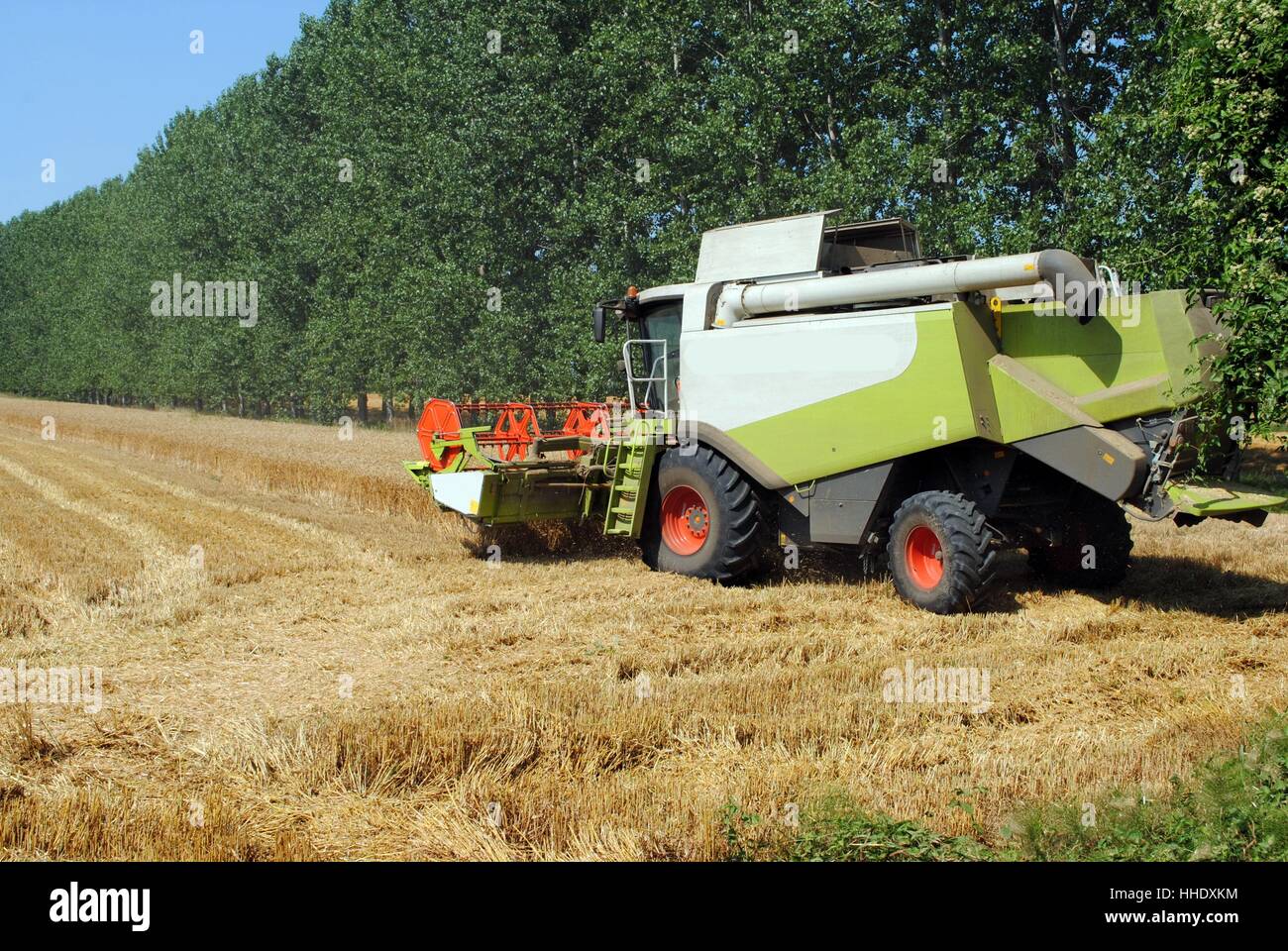 tree, ground, soil, earth, humus, agriculture, farming, field, wheels ...